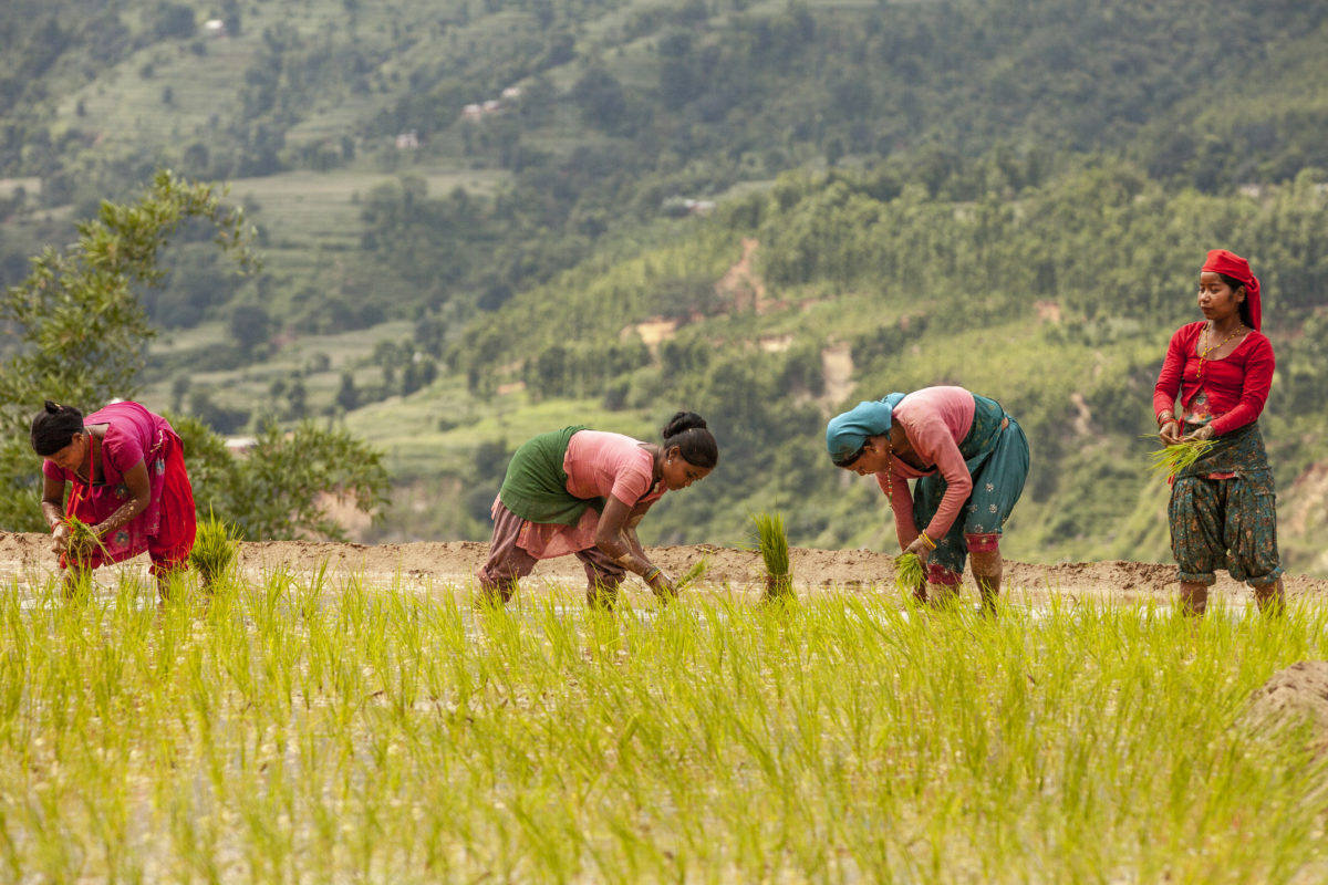 Experience the Real Nepal! - Kate Maverick* - Extreme Missionary Adventures